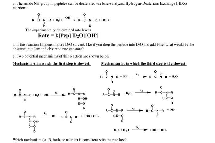 3. The amide NH group in peptides can be deuterated | Chegg.com