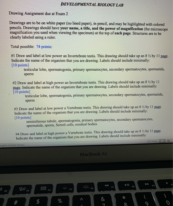 DEVELOPMENTAL BIOLOGY LAB Drawing Assignment due at | Chegg.com