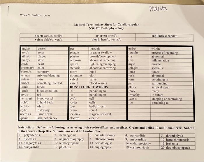 Solved fill out prefixes, root, and suffixes for each word | Chegg.com