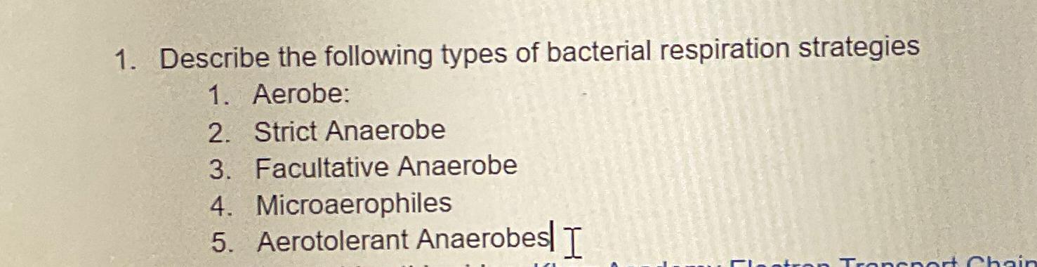 Solved Describe the following types of bacterial respiration | Chegg.com