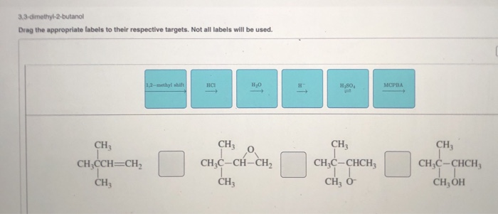 Solved 3.3-dimethyl-2-butanol Drag the appropriate labels to | Chegg.com