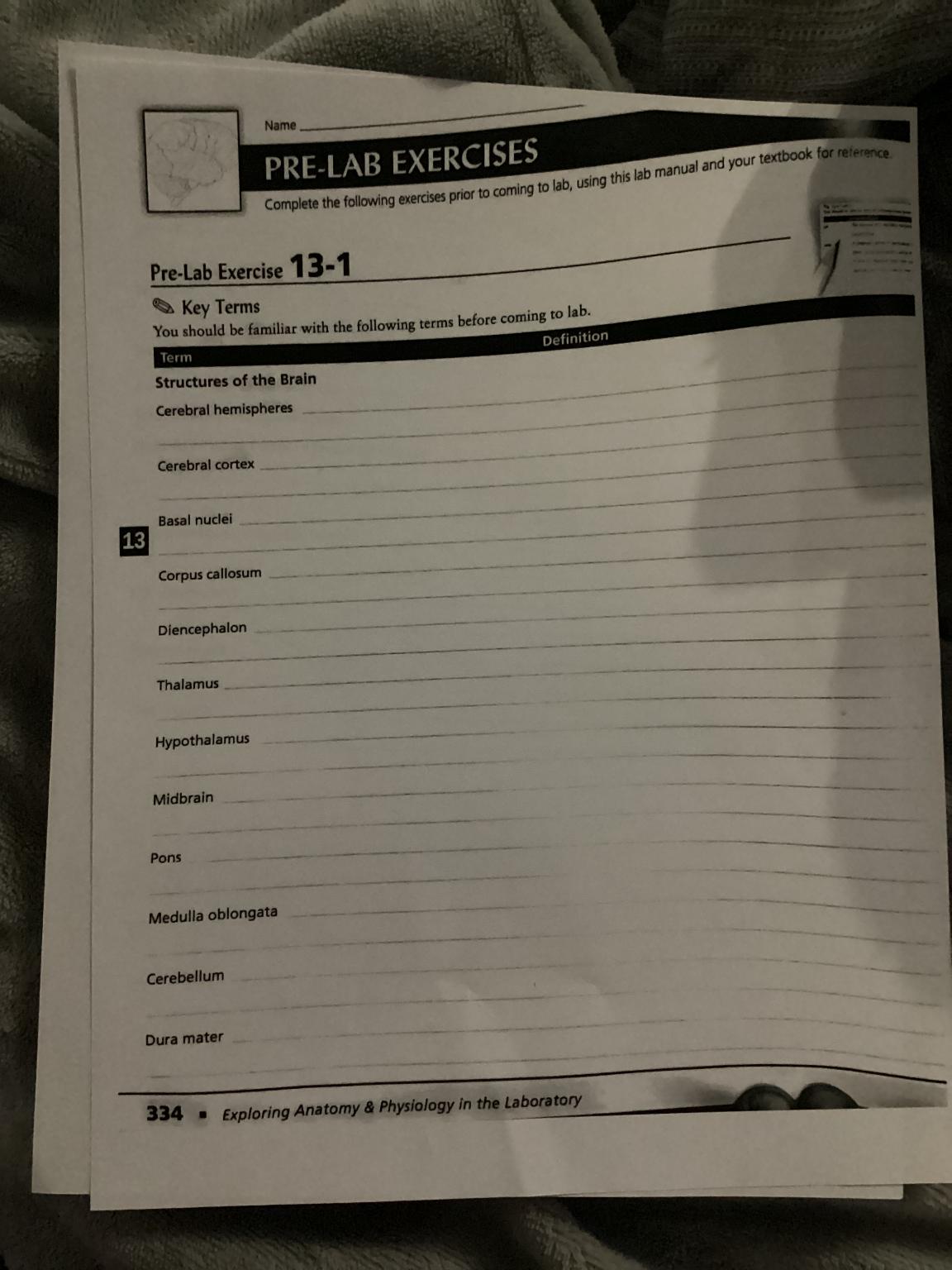 Solved NamePRE-LAB EXERCISESPre-Lab Exercise 13-1Key | Chegg.com