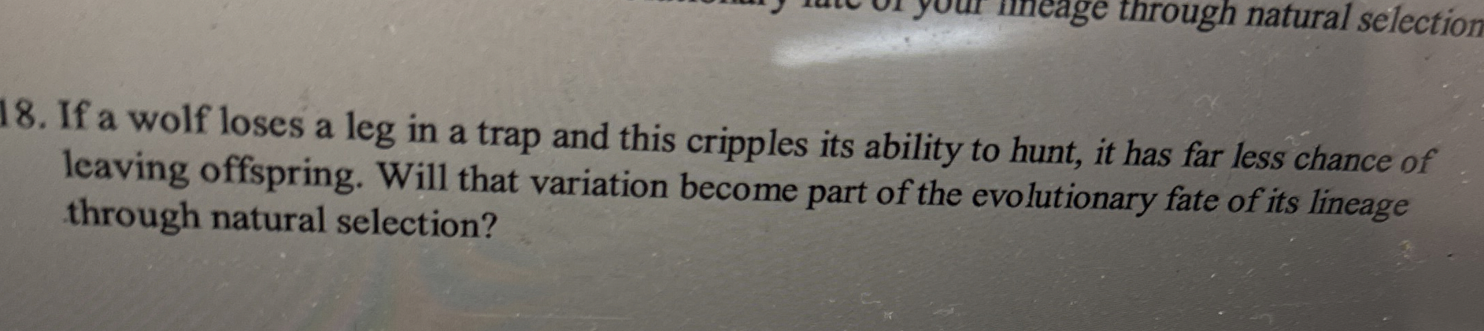 Solved If a wolf loses a leg in a trap and this cripples its | Chegg.com