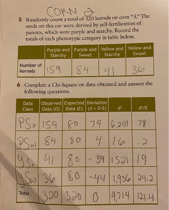 Solved CORN 2 5 Randomly count a total of 320 kernels on | Chegg.com