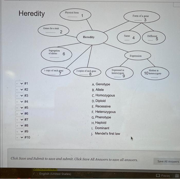 Solved Heredity Physical form 1 Form of a gene 3 Genes for a | Chegg.com