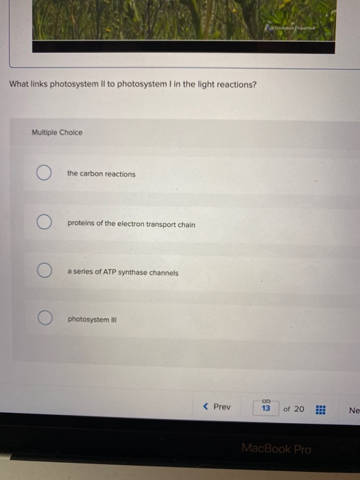 Solved What Links Photosystem II To Photosystem I In The Chegg solved-what-links-photosystem-ii-to-photosystem-i-in-the-chegg