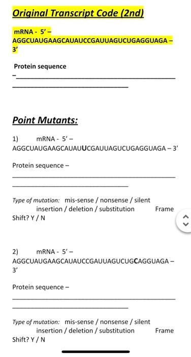 Solved Original Transcript Code (2nd) mRNA - 5'- | Chegg.com