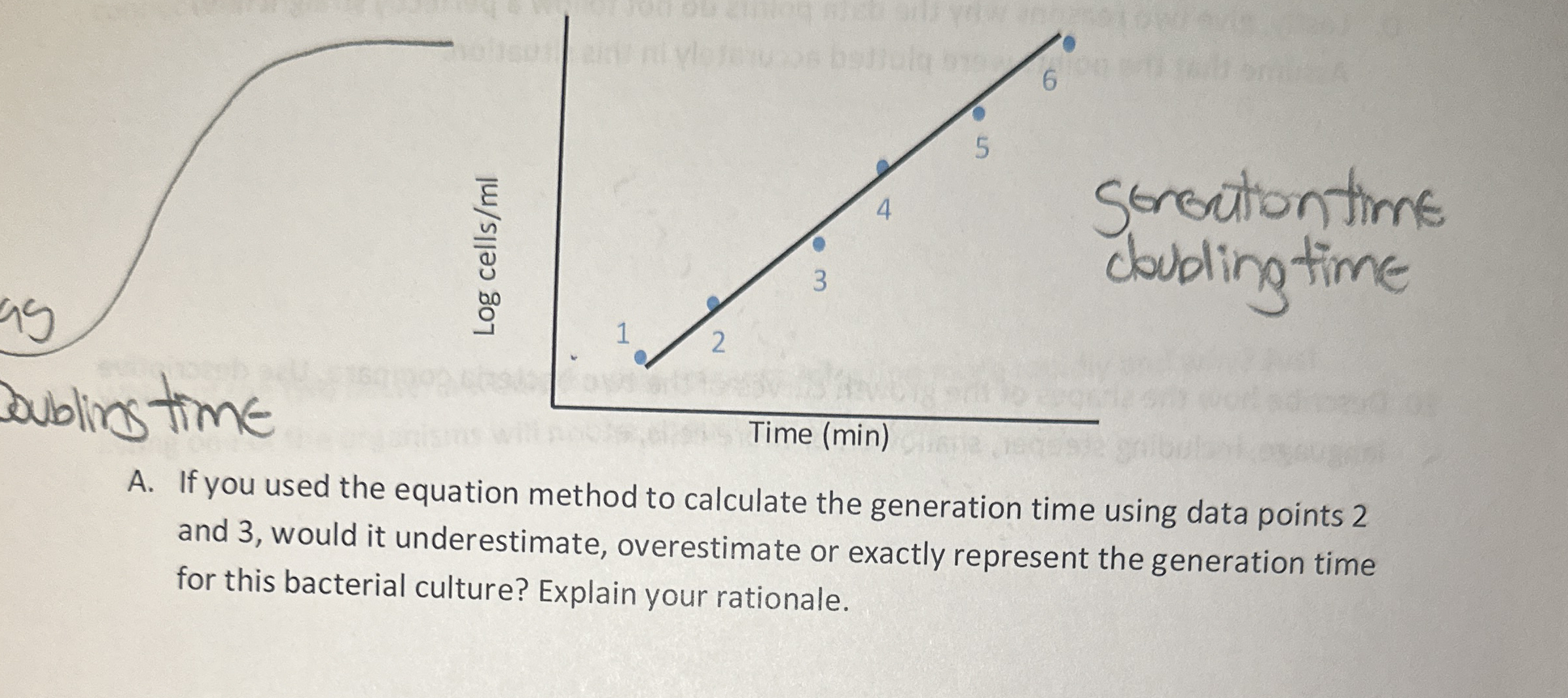 Solved A. ﻿If you used the equation method to calculate the | Chegg.com