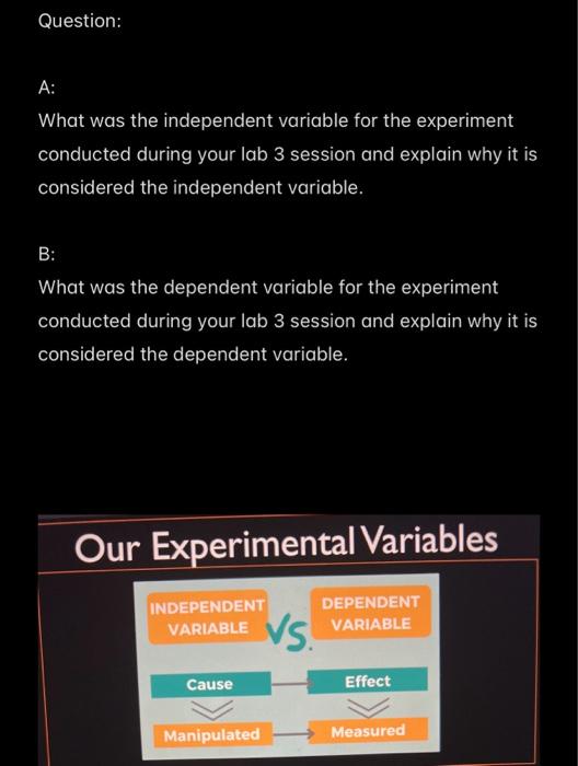 Solved During lab 3 sessions watching 3 video, all in same | Chegg.com