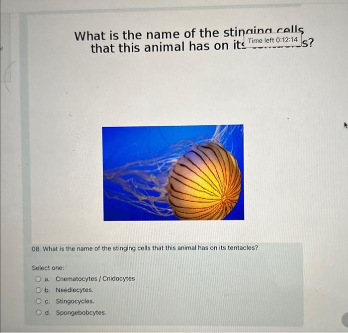 Solved To which order do these animals belong? 14. To which | Chegg.com