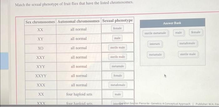 Solved Match The Sexual Phenotype Of Fruit Flies That Have