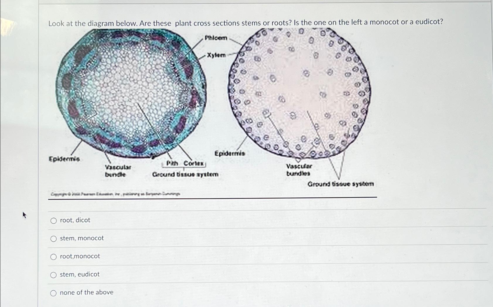 Solved Look at the diagram below. Are these plant cross | Chegg.com