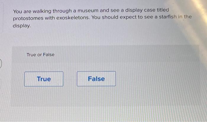 Solved You are walking through a museum and see a display | Chegg.com