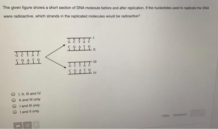 Solved The given figure shows a short section of DNA | Chegg.com