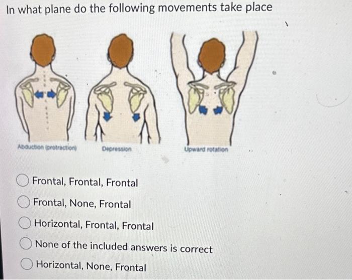 Solved In what plane do the following movements take place | Chegg.com