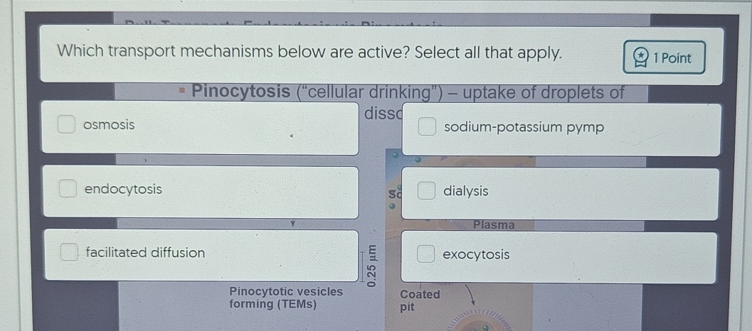 Solved Which transport mechanisms below are active? Select | Chegg.com