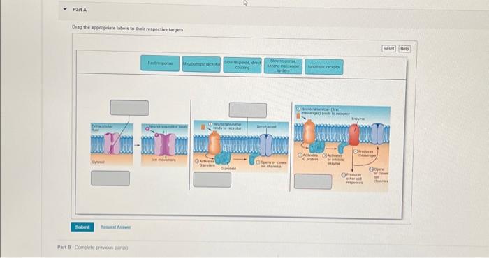 Solved i need help with all of it! i need help with what to | Chegg.com