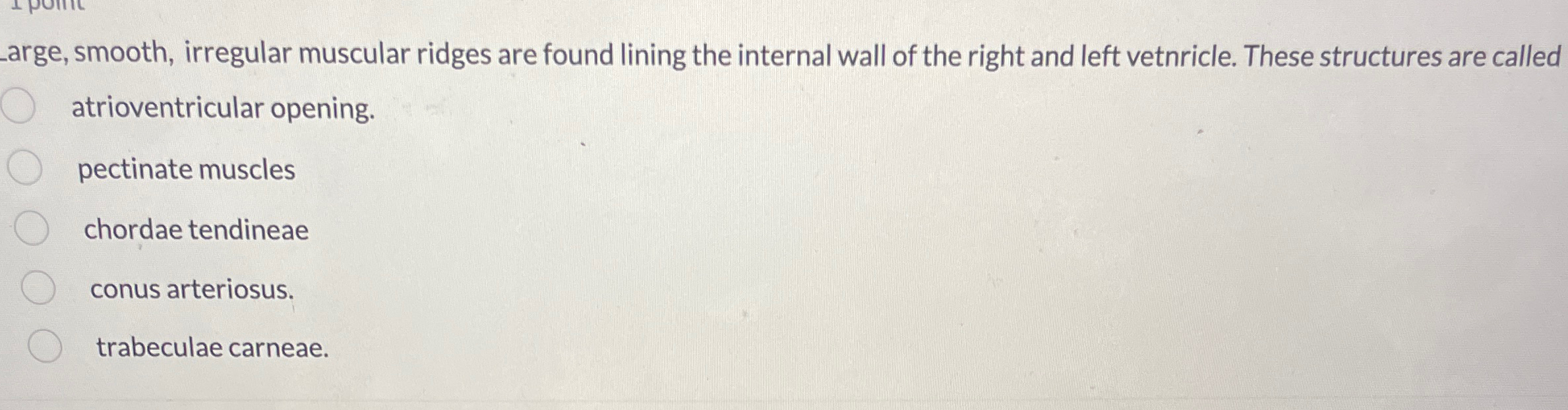 Solved -arge, smooth, irregular muscular ridges are found | Chegg.com