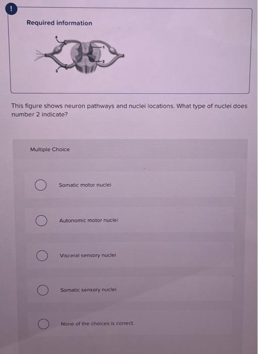 Solved Which structure is highlighted? Multiple Choice | Chegg.com