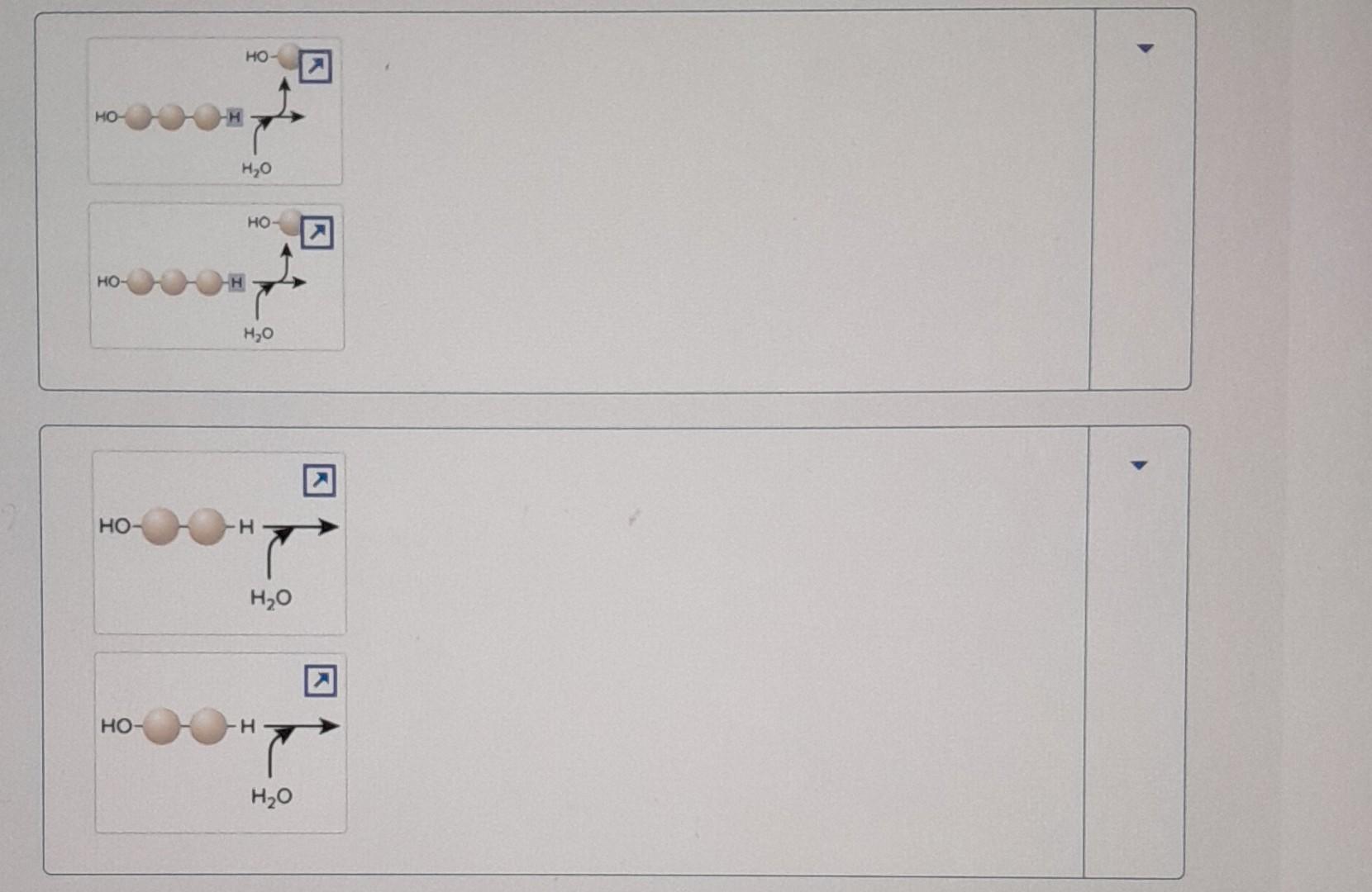 Solved Place the following parts of the chemical | Chegg.com