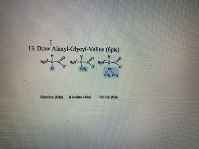 Solved I 13. Draw Alanyl-Glycyl-Valine (6pts) HEN CH3 co H | Chegg.com