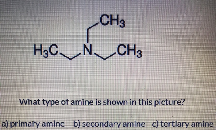 Solved -CH₃ H3CN CH3 What type of amine is shown in this | Chegg.com