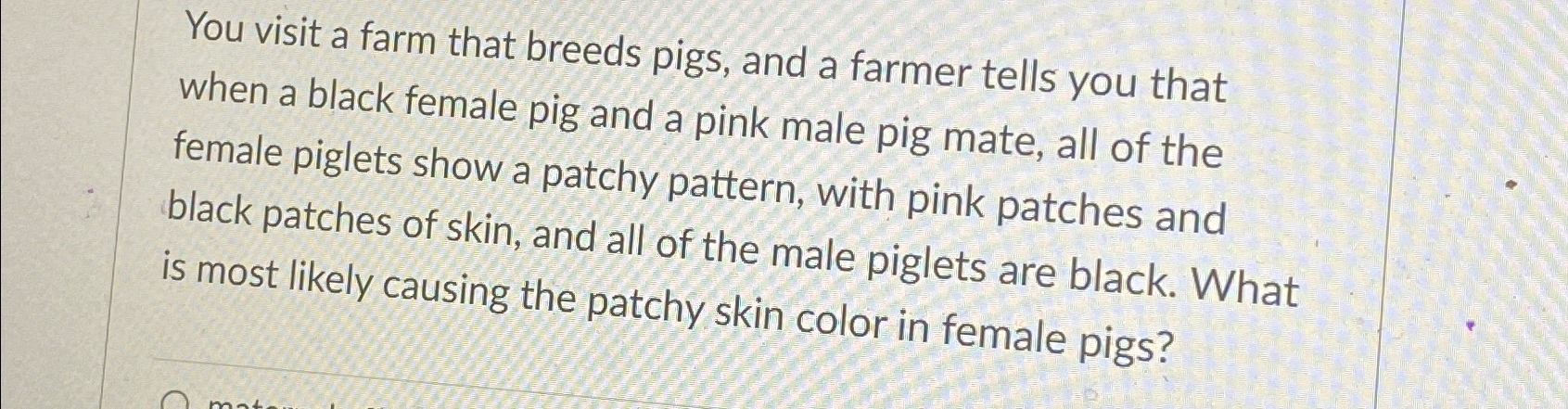 Solved You visit a farm that breeds pigs, and a farmer tells | Chegg.com