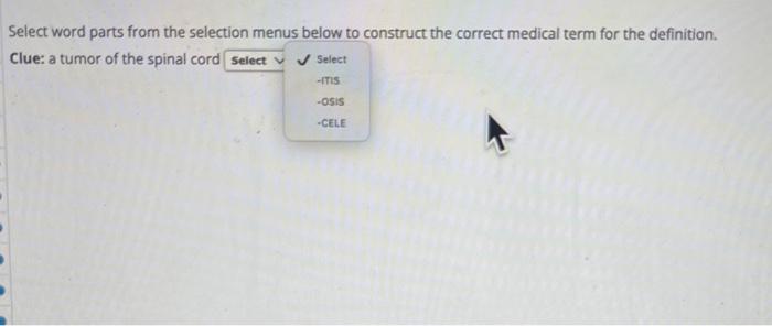 Solved Select word parts from the selection menus below to | Chegg.com