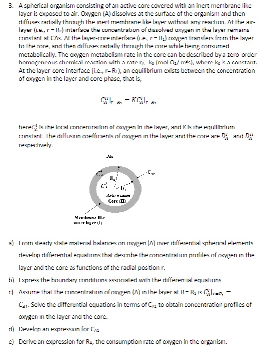 Solved A spherical organism consisting of an active core | Chegg.com
