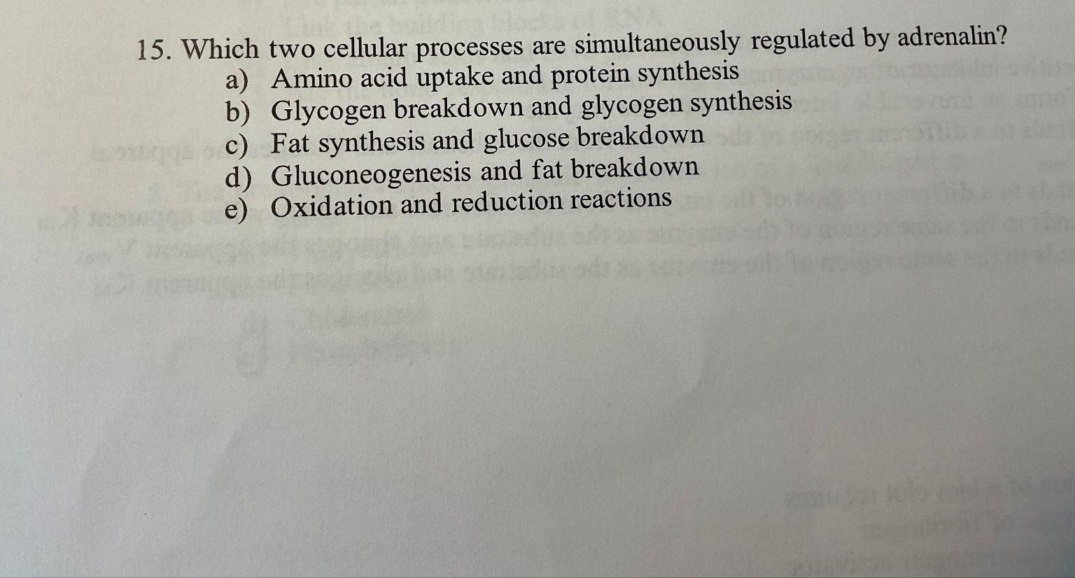 Solved Which two cellular processes are simultaneously | Chegg.com