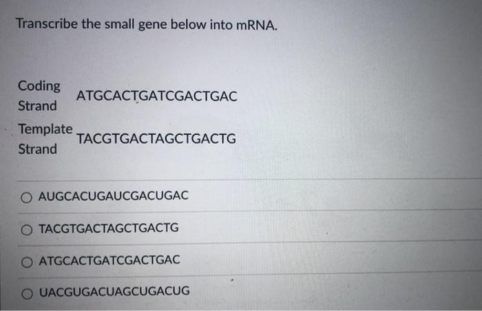 Solved Transcribe the small gene below into mRNA. Coding | Chegg.com