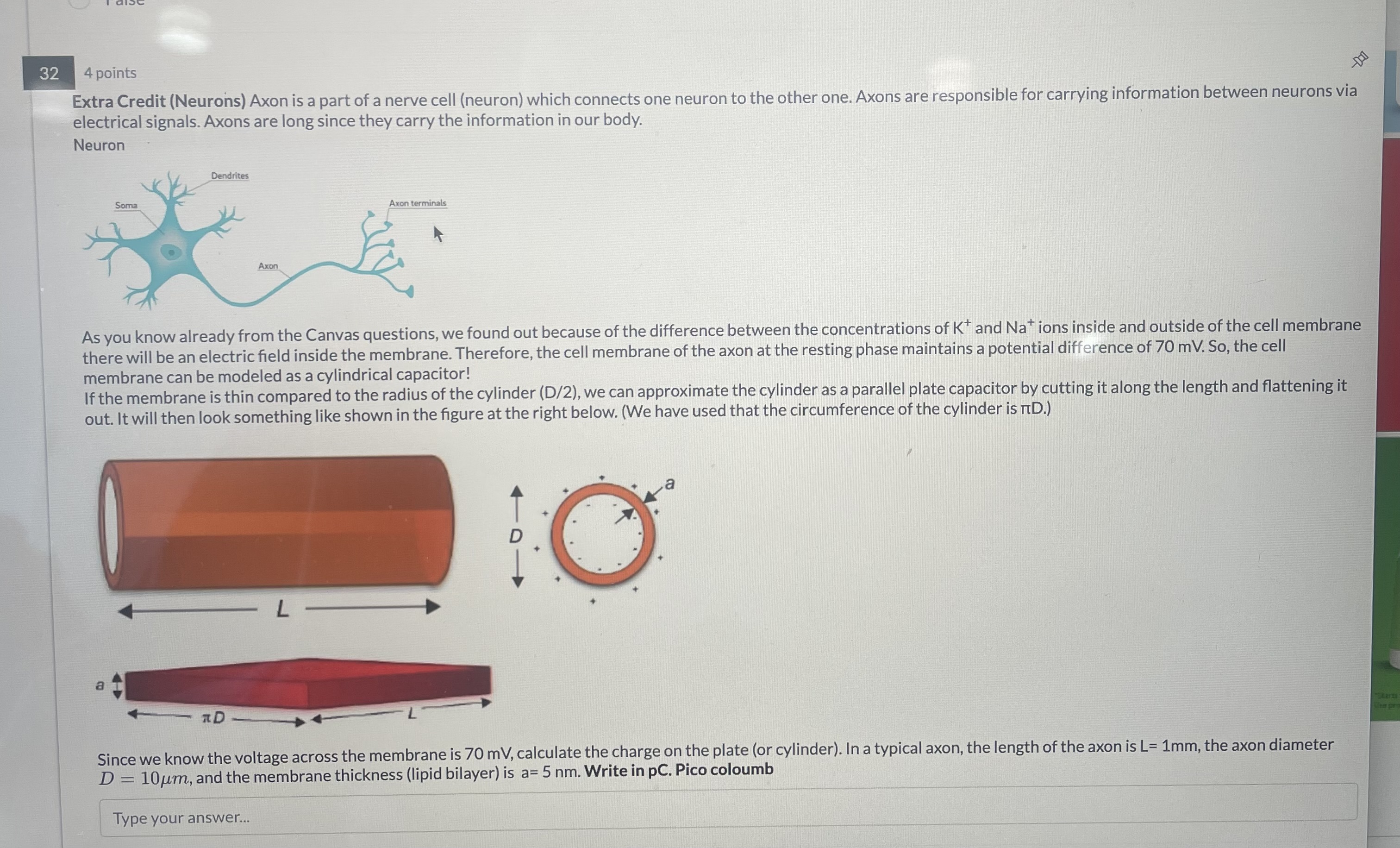 Solved Extra Credit (Neurons) ﻿Axon is a part of a nerve | Chegg.com