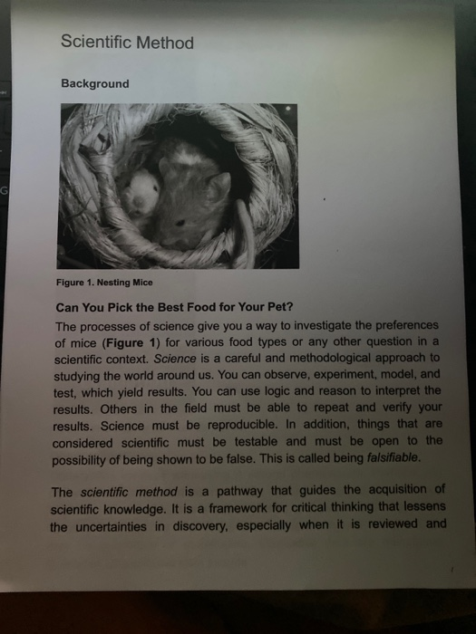 Scientific Method Background G Figure 1. Nesting Mice | Chegg.com