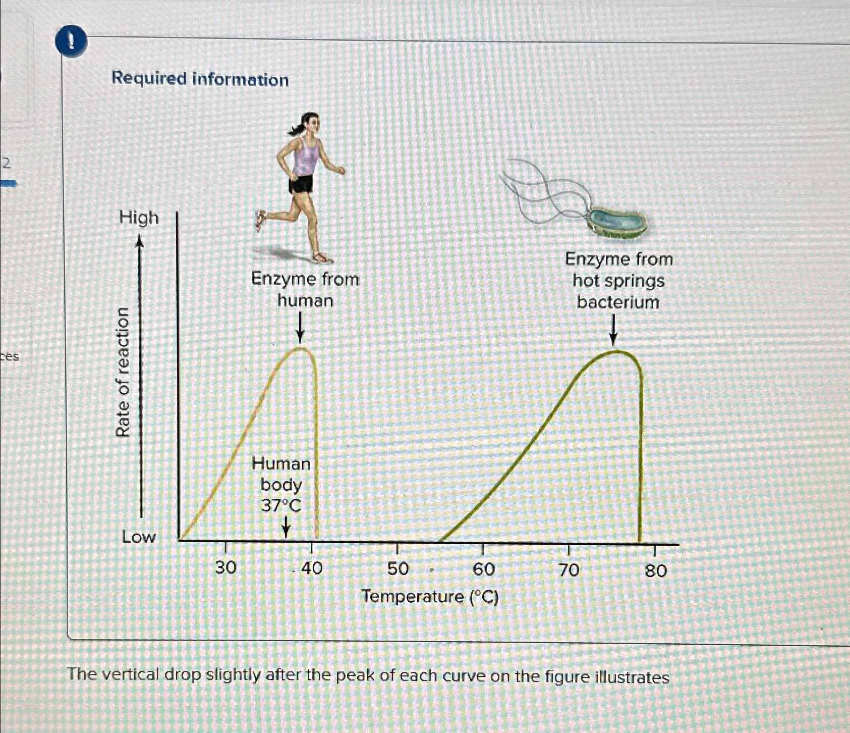 Solved 1Required informationThe vertical drop slightly after | Chegg.com