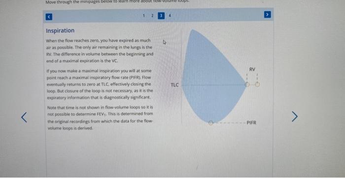 Solved Flow-volume loop Select Annotate and indicate in red | Chegg.com