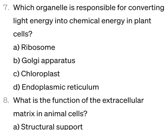 Solved Which organelle is responsible for converting light | Chegg.com