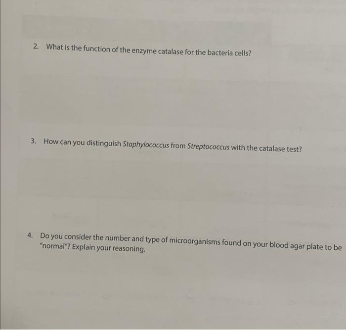 Solved 2. What is the function of the enzyme catalase for | Chegg.com