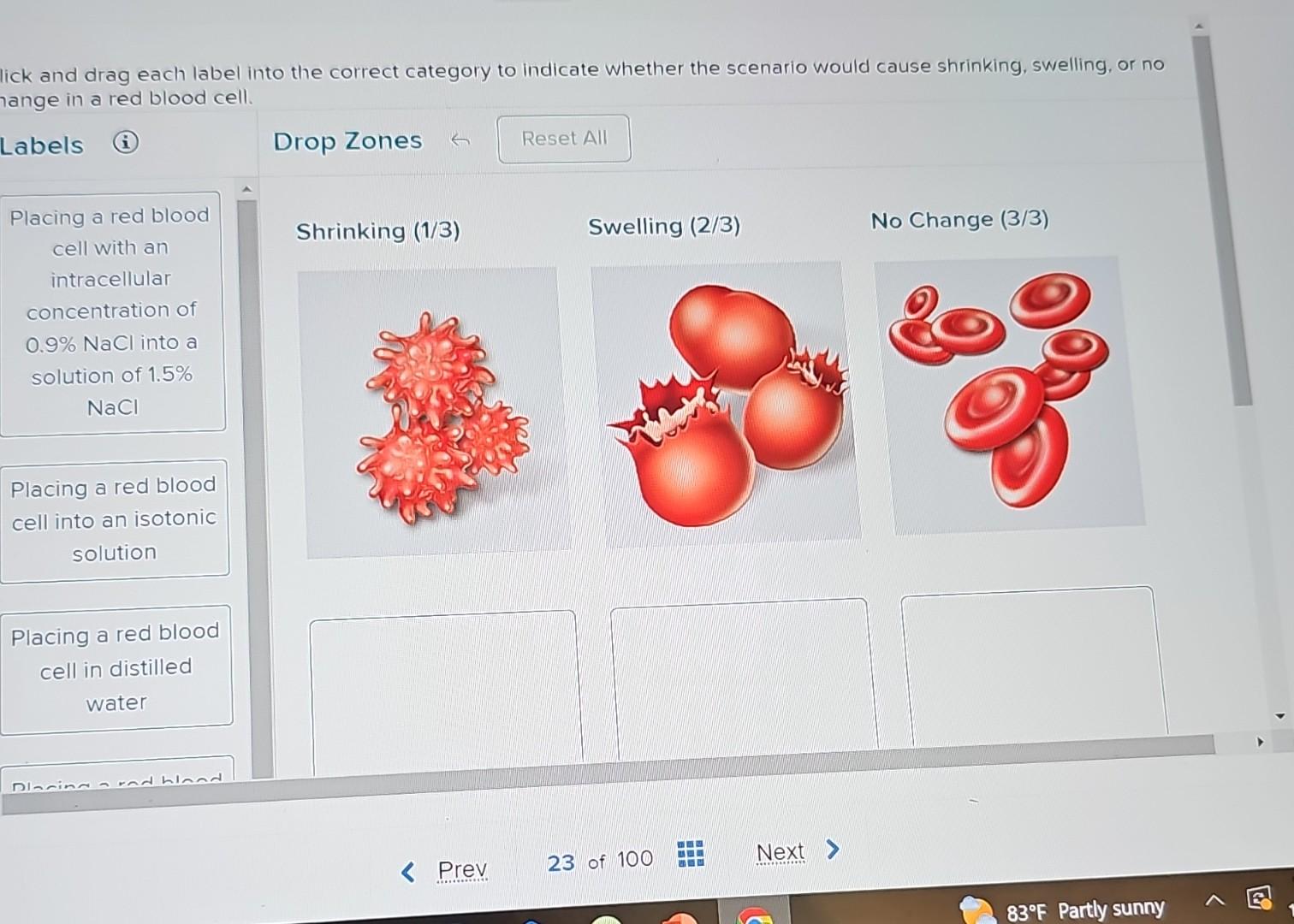 Solved ick and drag each label into the correct category to | Chegg.com