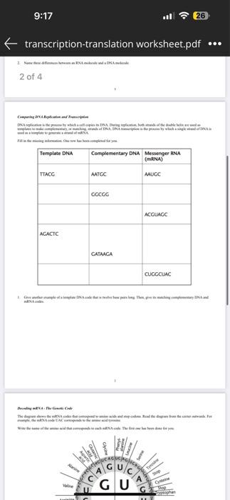 9:17 ,1 ≈26 transcription-translation worksheet.pdf | Chegg.com