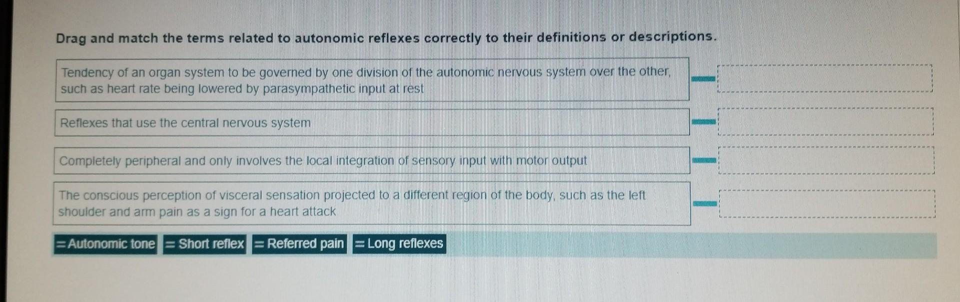 Solved Drag and match the terms related to autonomic | Chegg.com Solved Drag and match the terms related to autonomic | Chegg.com