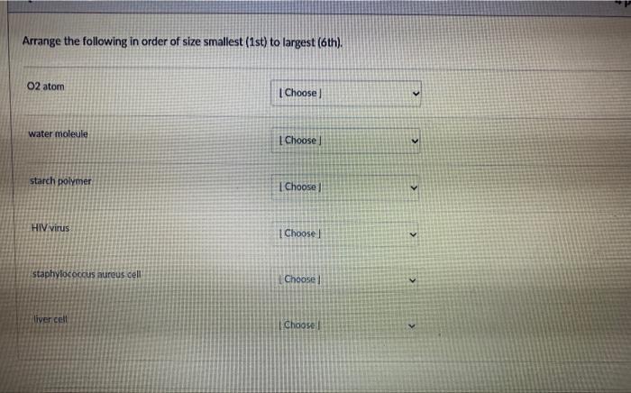 Solved Arrange the following in order of size smallest (1st) | Chegg.com