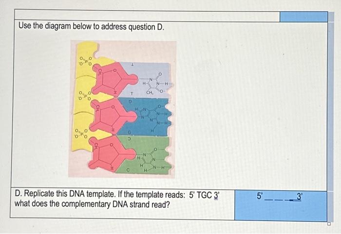 Experiment (dry lab) A. Are the two dsDNA molecules | Chegg.com