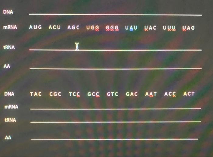 Solved DNA mRNA AUG ACU AGC UGG GGG UAU VACUUU UAG TRNA АА | Chegg.com