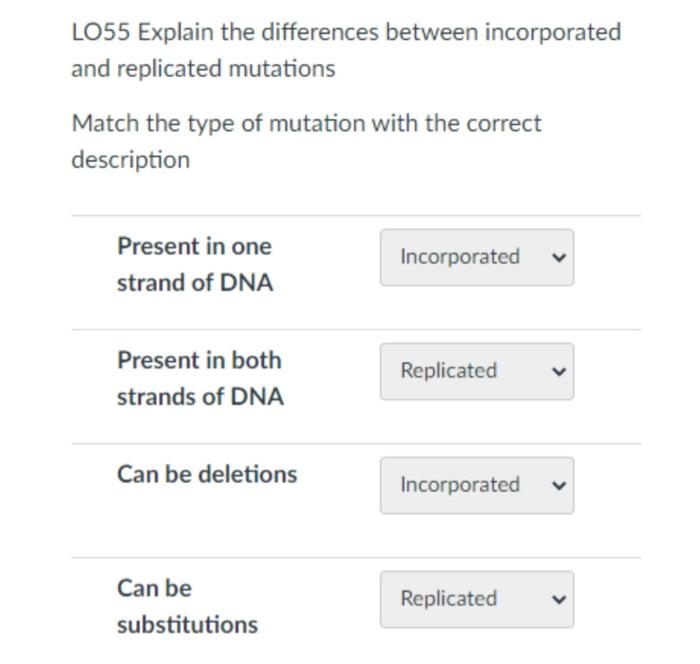 Solved LO55 ﻿Explain the differences between incorporated | Chegg.com