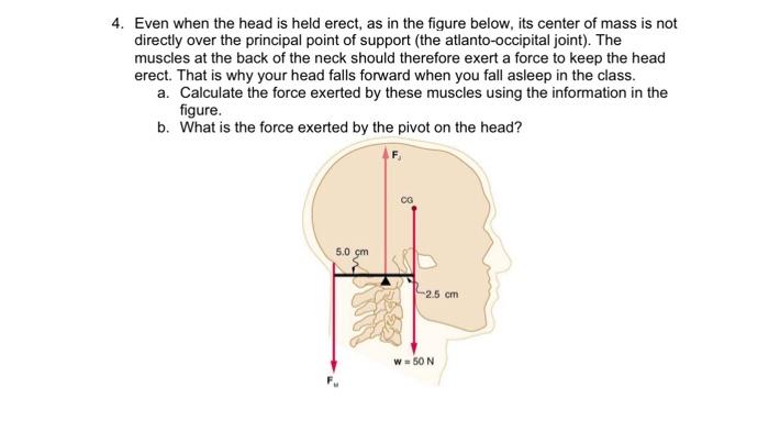 Solved 4. Even when the head is held erect, as in the figure | Chegg.com