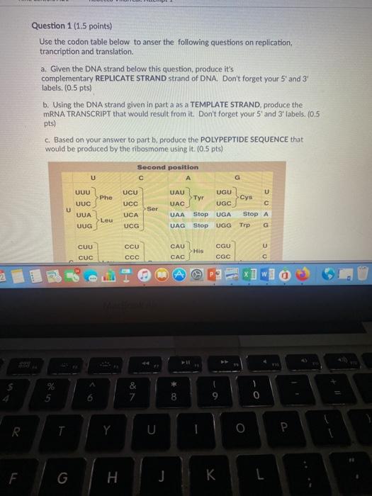 Solved Question 1 (1.5 points) Use the codon table below to | Chegg.com
