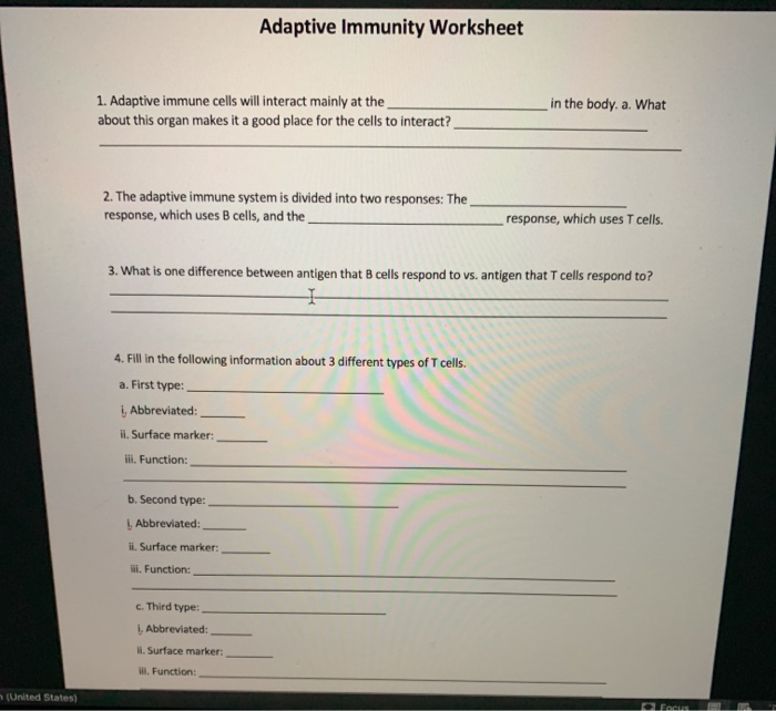 Solved Adaptive Immunity Worksheet in the body. a. What 1. | Chegg.com