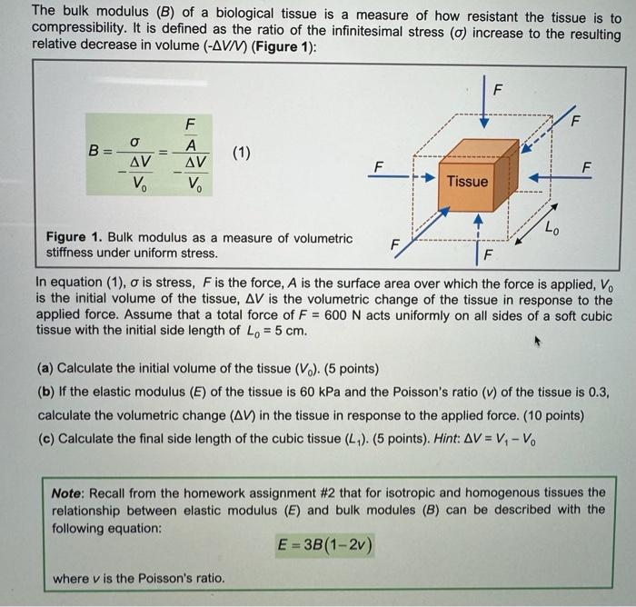 Solved The bulk modulus (B) of a biological tissue is a | Chegg.com