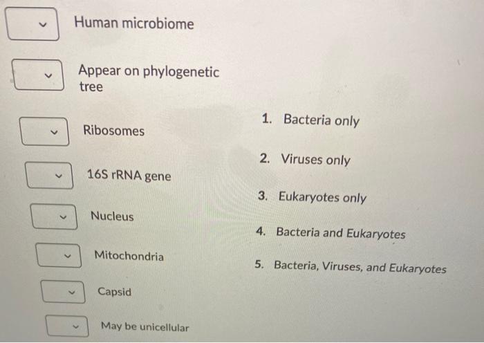 Solved Human microbiome Appear on phylogenetic tree 1. | Chegg.com