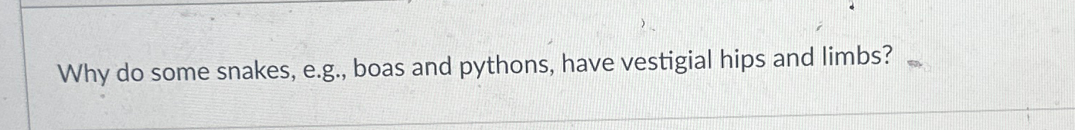 Solved Why do some snakes, e.g., ﻿boas and pythons, have | Chegg.com